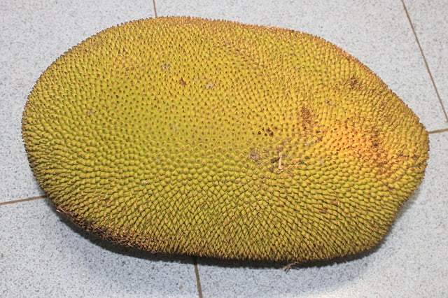 Indonesian fruit - a delight and must-try list of 18 fruits - TaleTravels