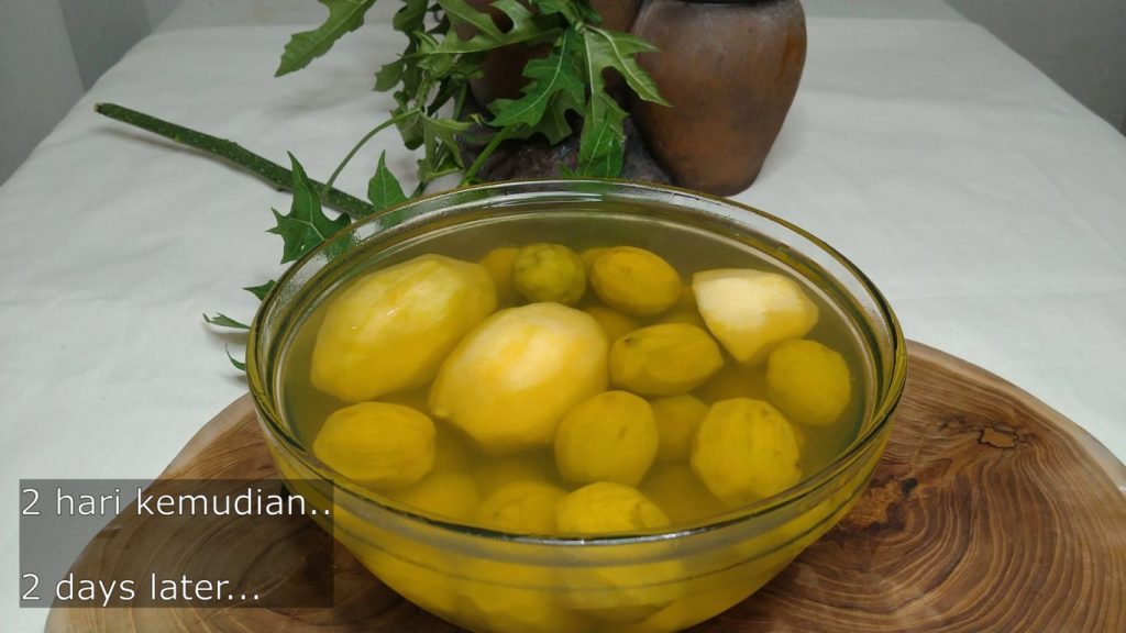 Kedondong pickled sweet and sour recipe. Step-by-step easy! (Ambarella ...