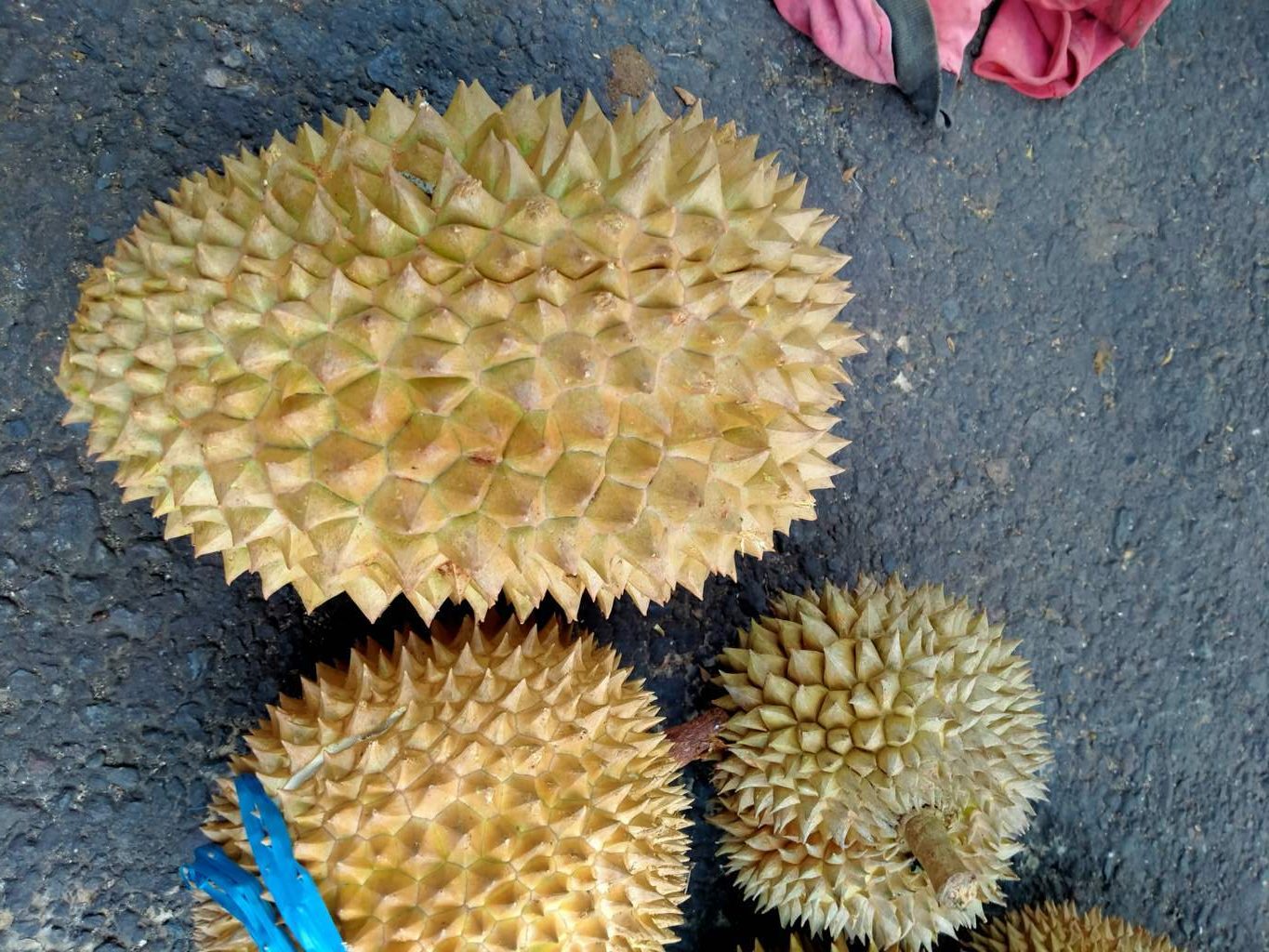 Durian fruit: which should you choose, eat and enjoy. 3 pro-tips ...