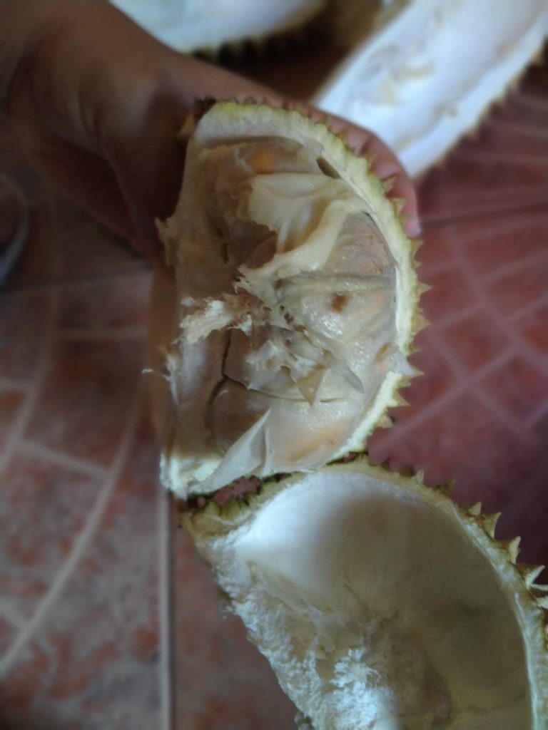 Durian fruit: which should you choose, eat and enjoy. 3 pro-tips ...