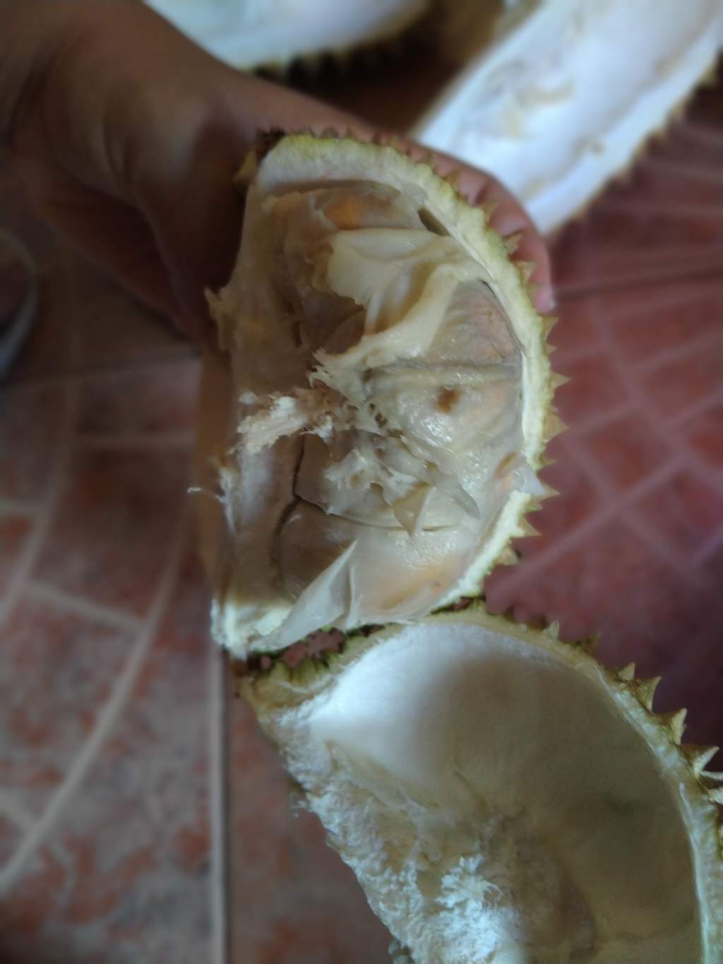 Durian fruit: which should you choose, eat and enjoy. 3 pro-tips ...