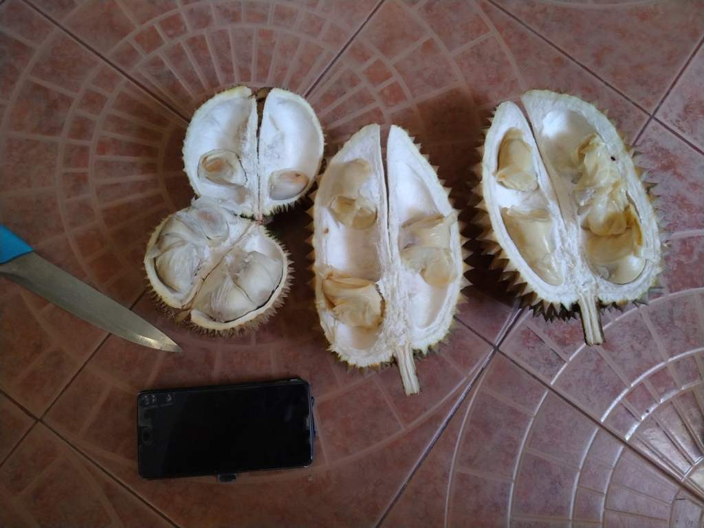 Durian fruit: which should you choose, eat and enjoy. 3 pro-tips ...