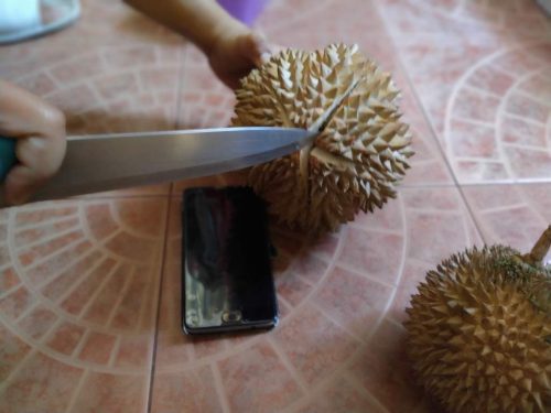 Durian fruit: which should you choose, eat and enjoy. 3 pro-tips ...