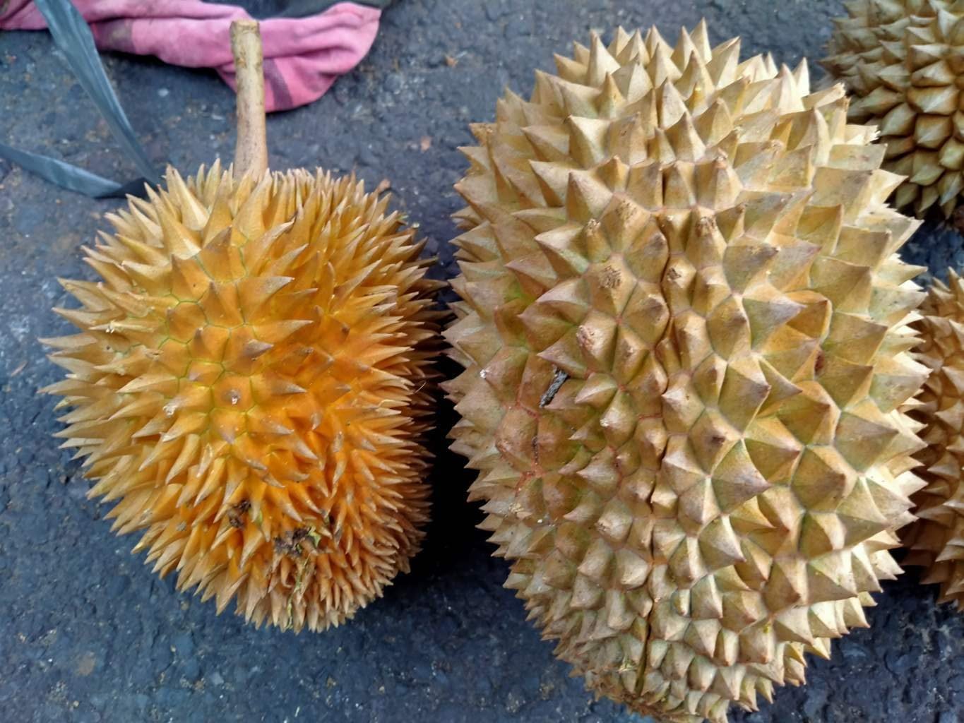 Durian fruit: which should you choose, eat and enjoy. 3 pro-tips ...