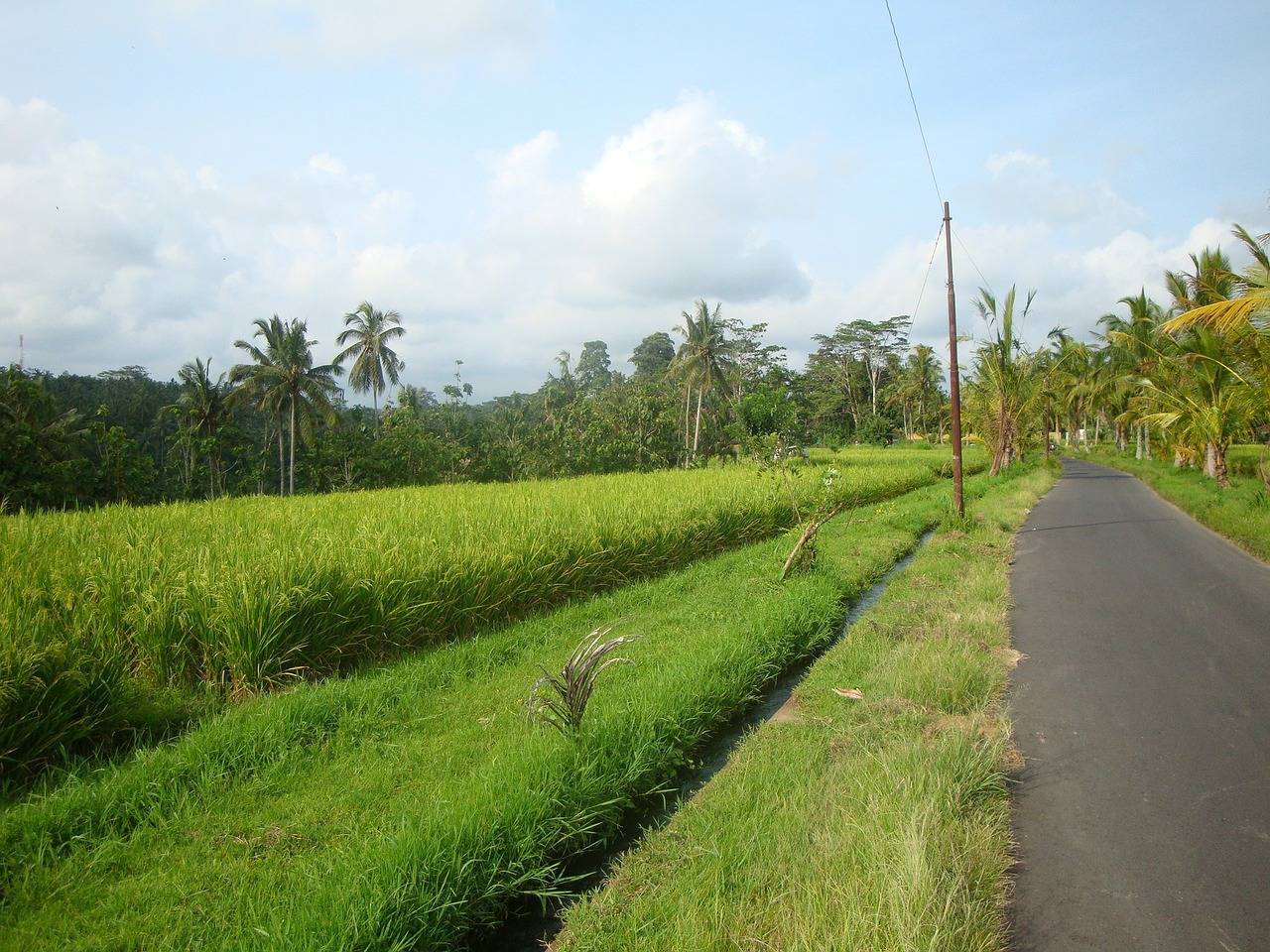 How is it like living in a gated community in Bali - TaleTravels.com ...
