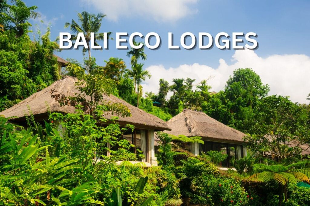Bali's Best Eco Lodges: 2023 Ultimate Guide