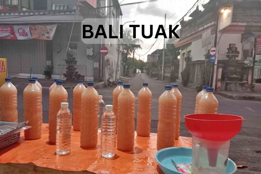 What is Tuak from Bali? - TaleTravels.com - Travel - food - blogging