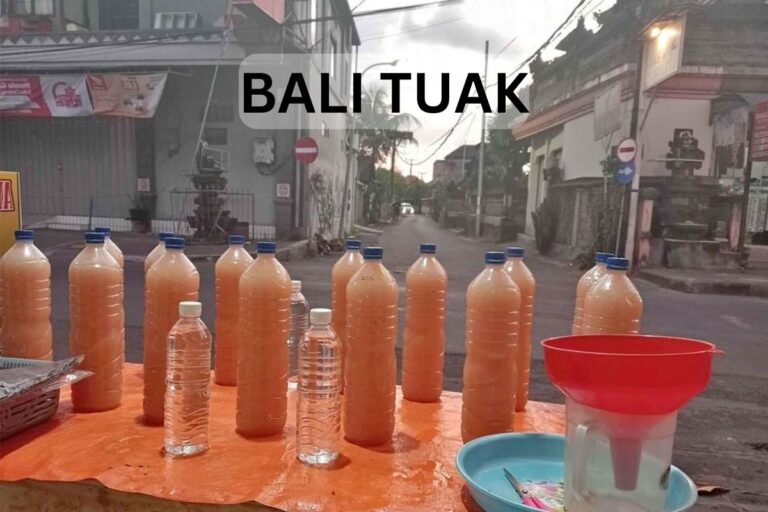 What is Tuak from Bali? - TaleTravels.com - Travel - food - blogging