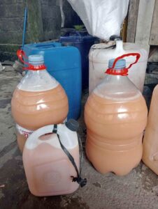 What is Tuak from Bali? - TaleTravels.com - Travel - food - blogging