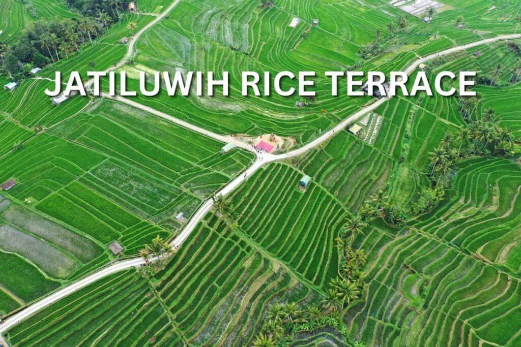 Jatiluwih Rice Terrace Guide: Bali's UNESCO Heritage Wonder