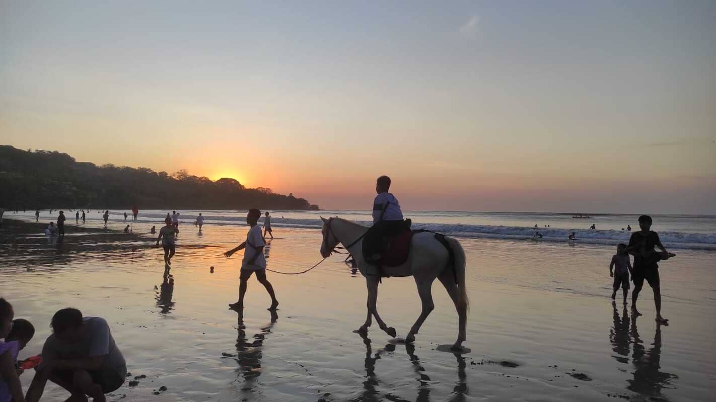 Bali Horse Riding Tours 2024: Beach and Rice Field Adventures