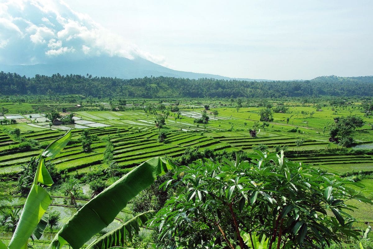 Mount Agung Explored: Bali's Volcano & Cultural Significance