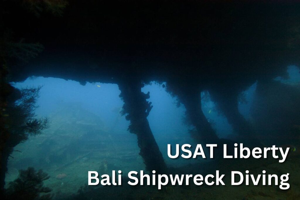 Dive into Experiences: The USS Liberty Shipwreck in Tulamben, Bali