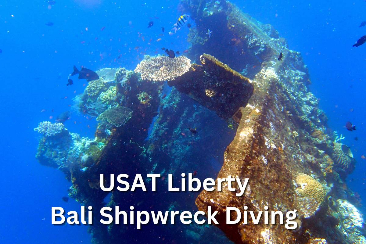 Dive into Experiences: The USS Liberty Shipwreck in Tulamben, Bali