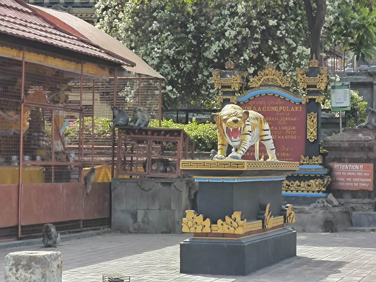 The Best Places to See Monkeys in Bali, Indonesia